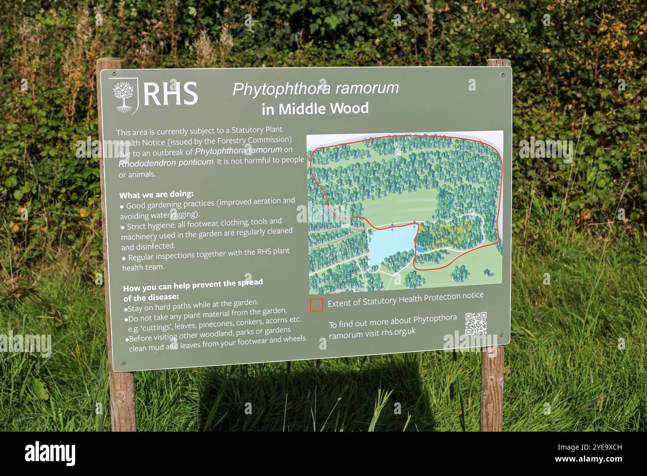 A sign outlining that there is Phytophthora ramorum in Middle Wood at ...