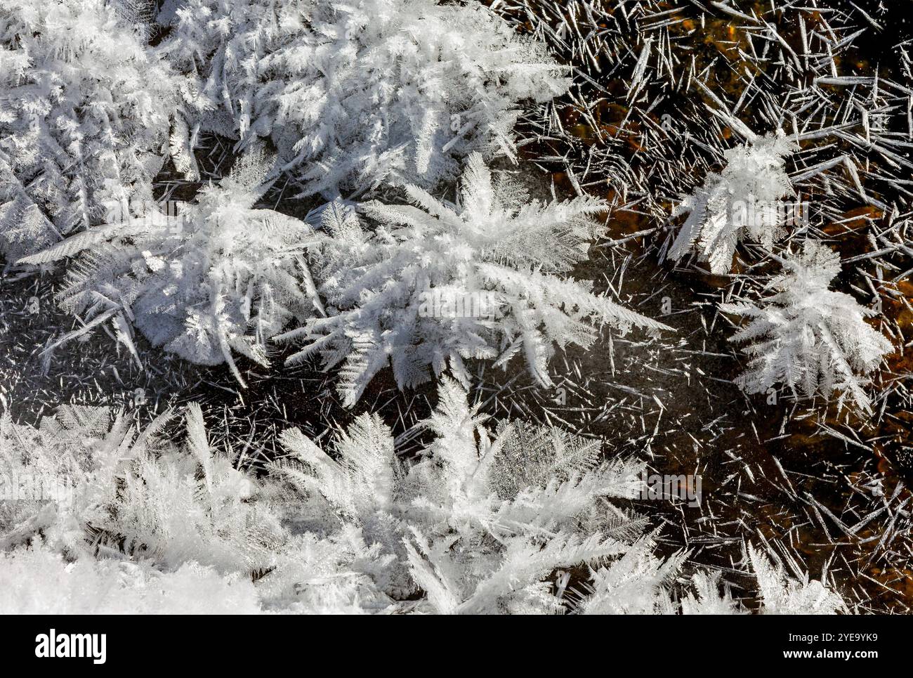 Extreme close-up of spiked frost patterns on a frozen pond; South of ...