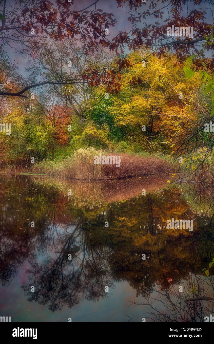 Fall foliage by Brooks Lake in Clove Lakes Park, Staten Island; New ...
