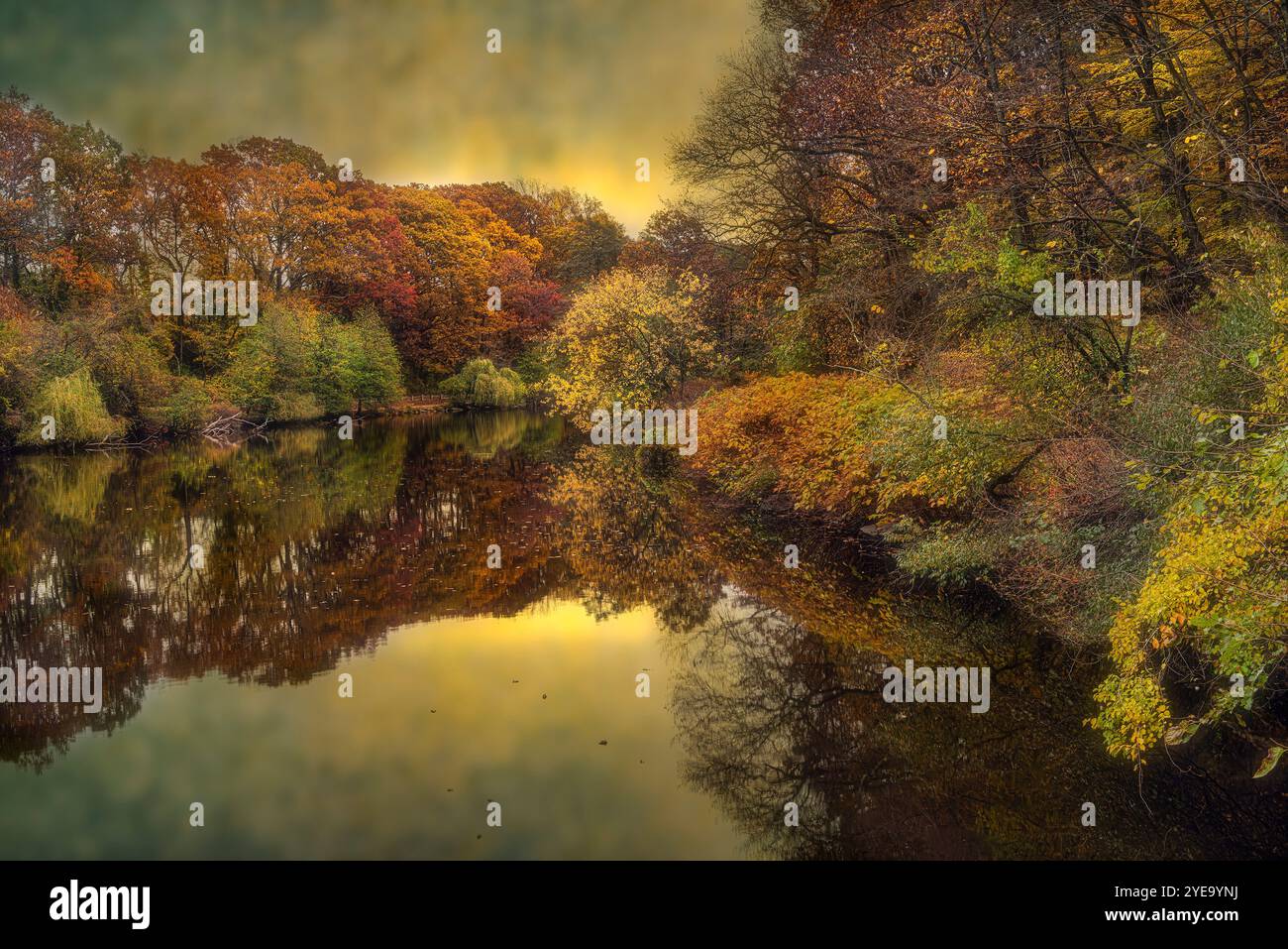 Clove lake hi-res stock photography and images - Alamy