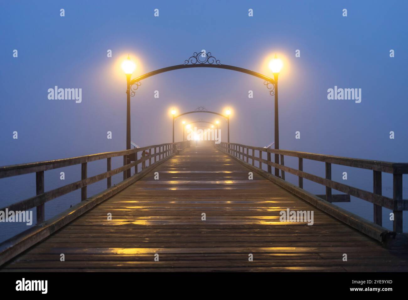 White Rock Pier illuminated at night, White Rock; British Columbia ...