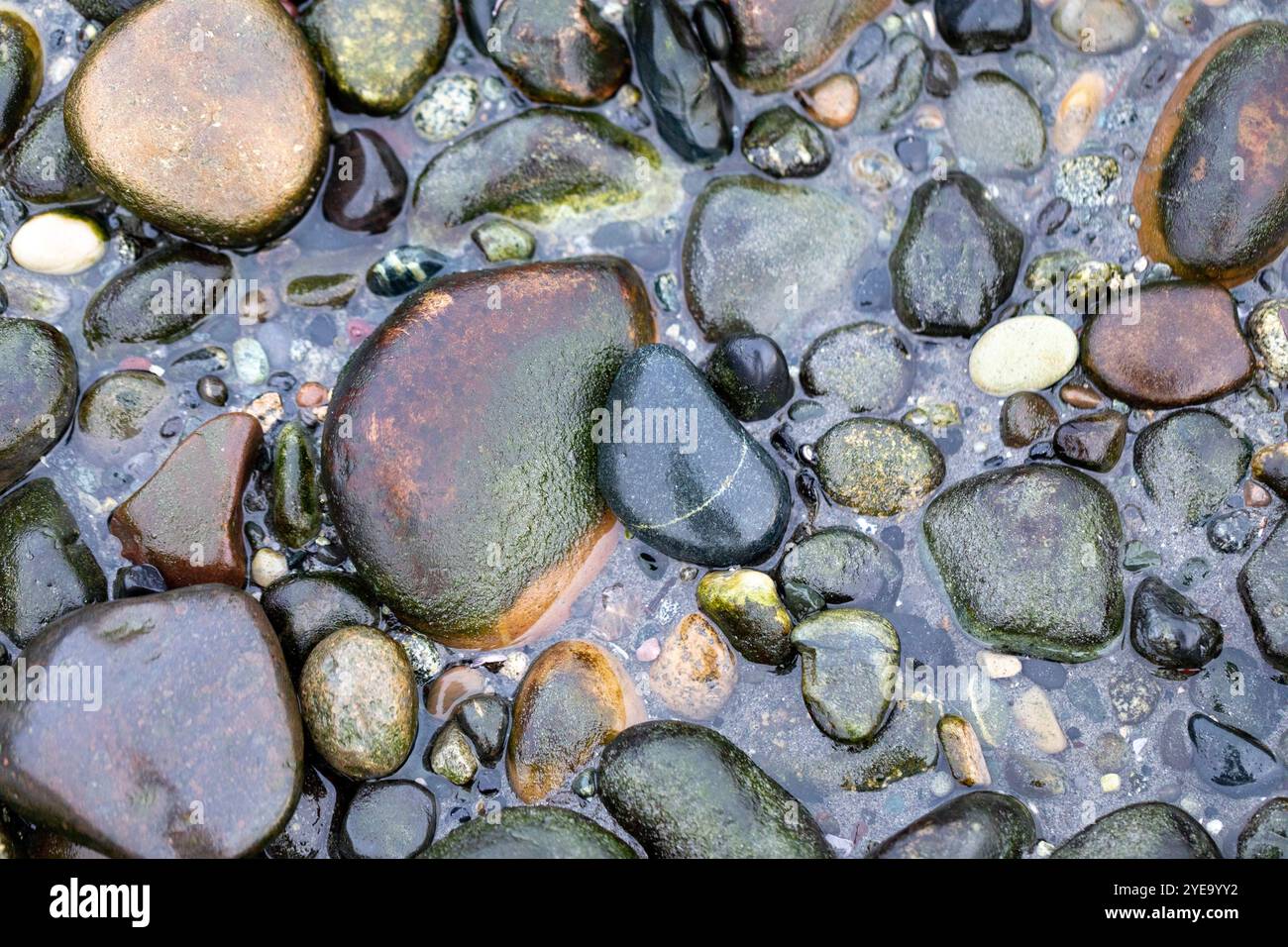 Rounded rocks partially hi-res stock photography and images - Alamy