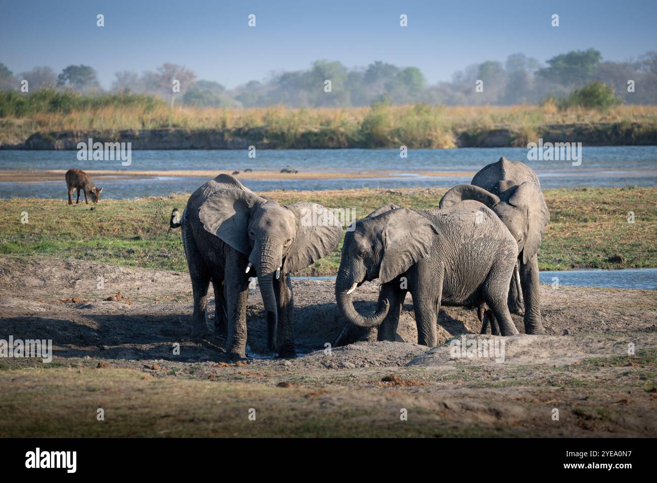 Kavango river hi-res stock photography and images - Alamy
