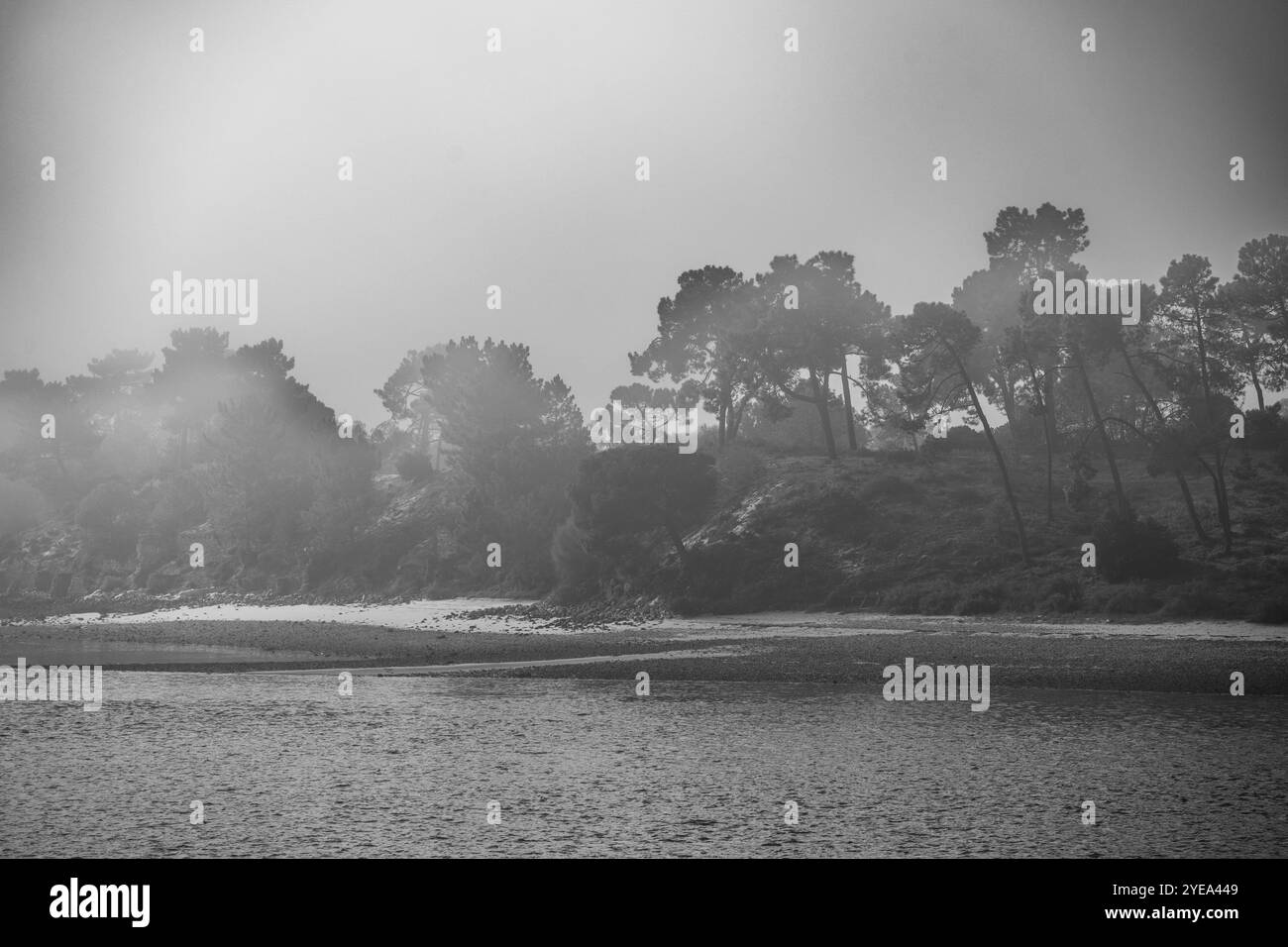 Fog over the trees on the shoreline of the Sado River in Portugal ...