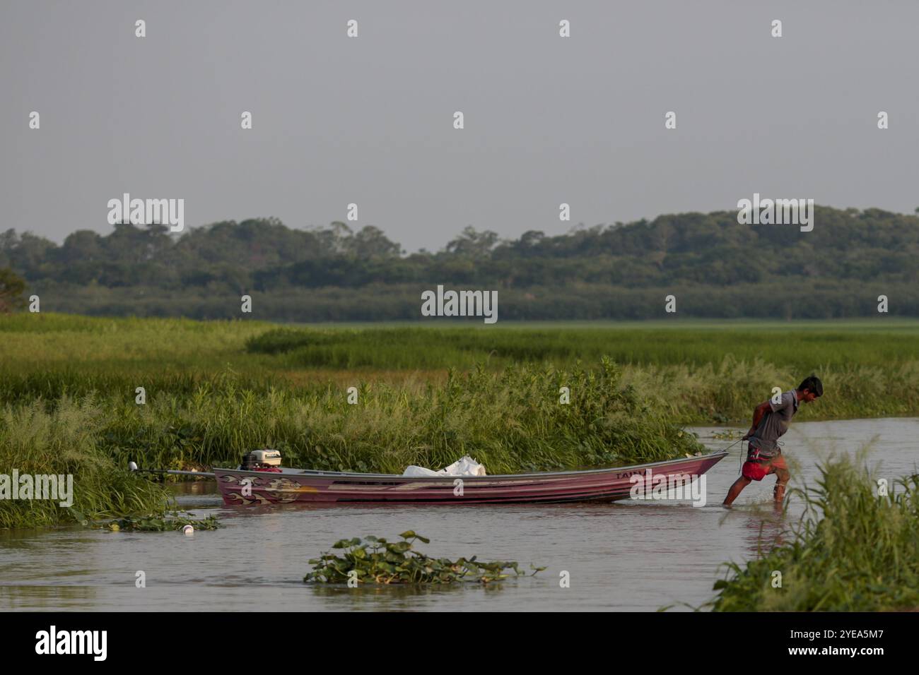 AM - MANAUS - 10/30/2024 - MANAUS, AMAZONAS, DROUGHT 2024, LAGO DO ...