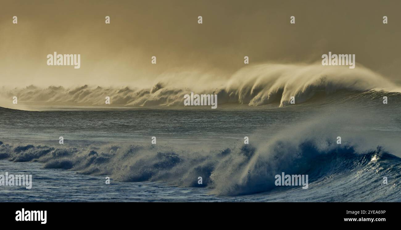 Powerful waves breaking with spray and warm sunset light, intense wave ...