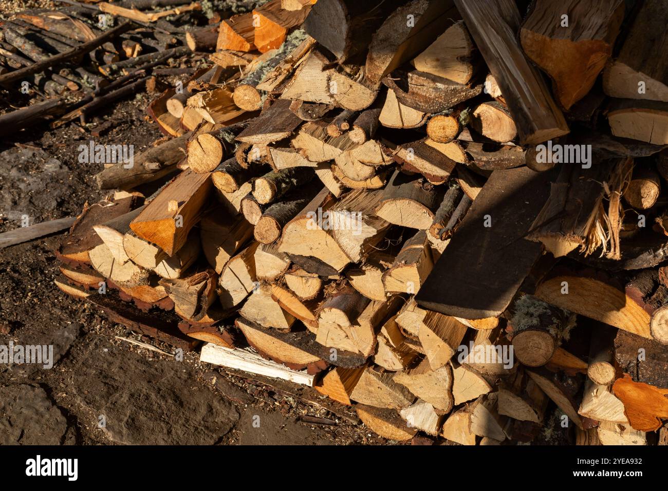 Pine wood stack hi-res stock photography and images - Alamy
