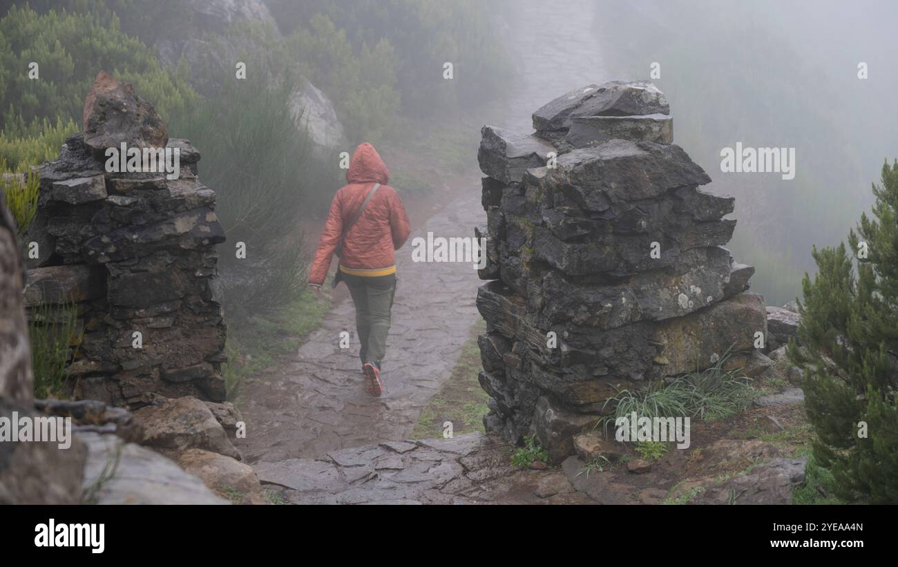 Female tourist on the trail in the fog at the highest peak, Pico Ruivo ...