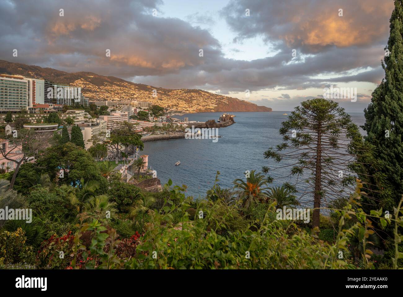 Coastal city of Funchal on the island of Madeira at twilight, Portugal ...