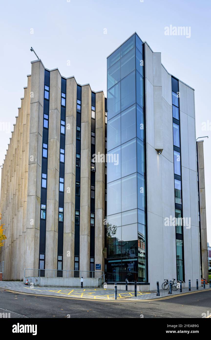 Ribbed ribbing chevron reinforced concrete clad cladding panel panels ...