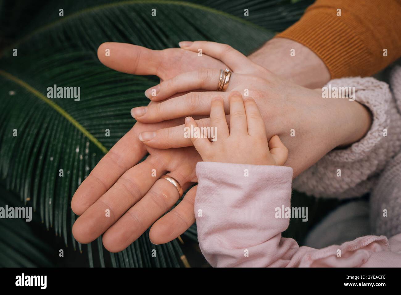 Family Connection with Child's Stock Photo - Alamy