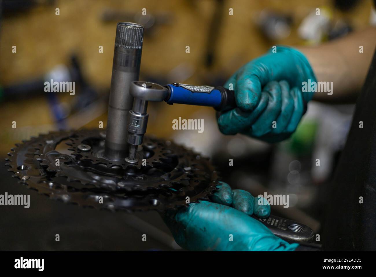 Mechanic hands with latex gloves adjusting a chain set with a ratchet ...