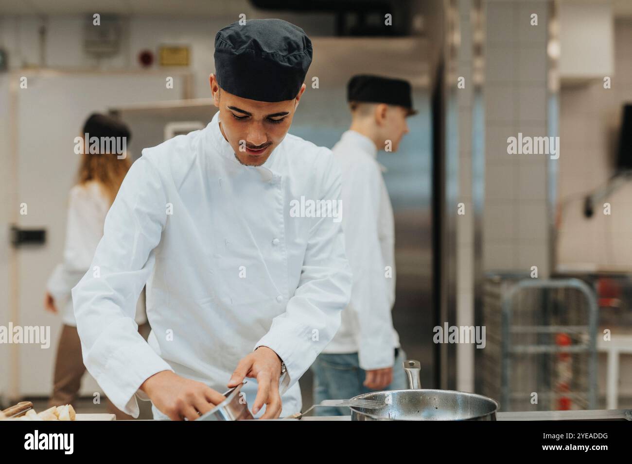 Male teenage trainee preparing food in commercial kitchen Stock Photo ...