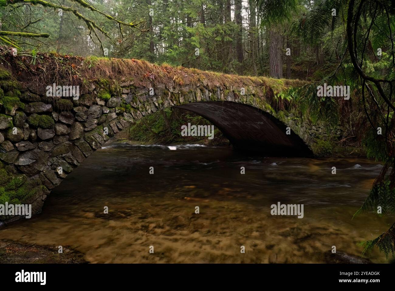 Moss covered bridge hi-res stock photography and images - Alamy