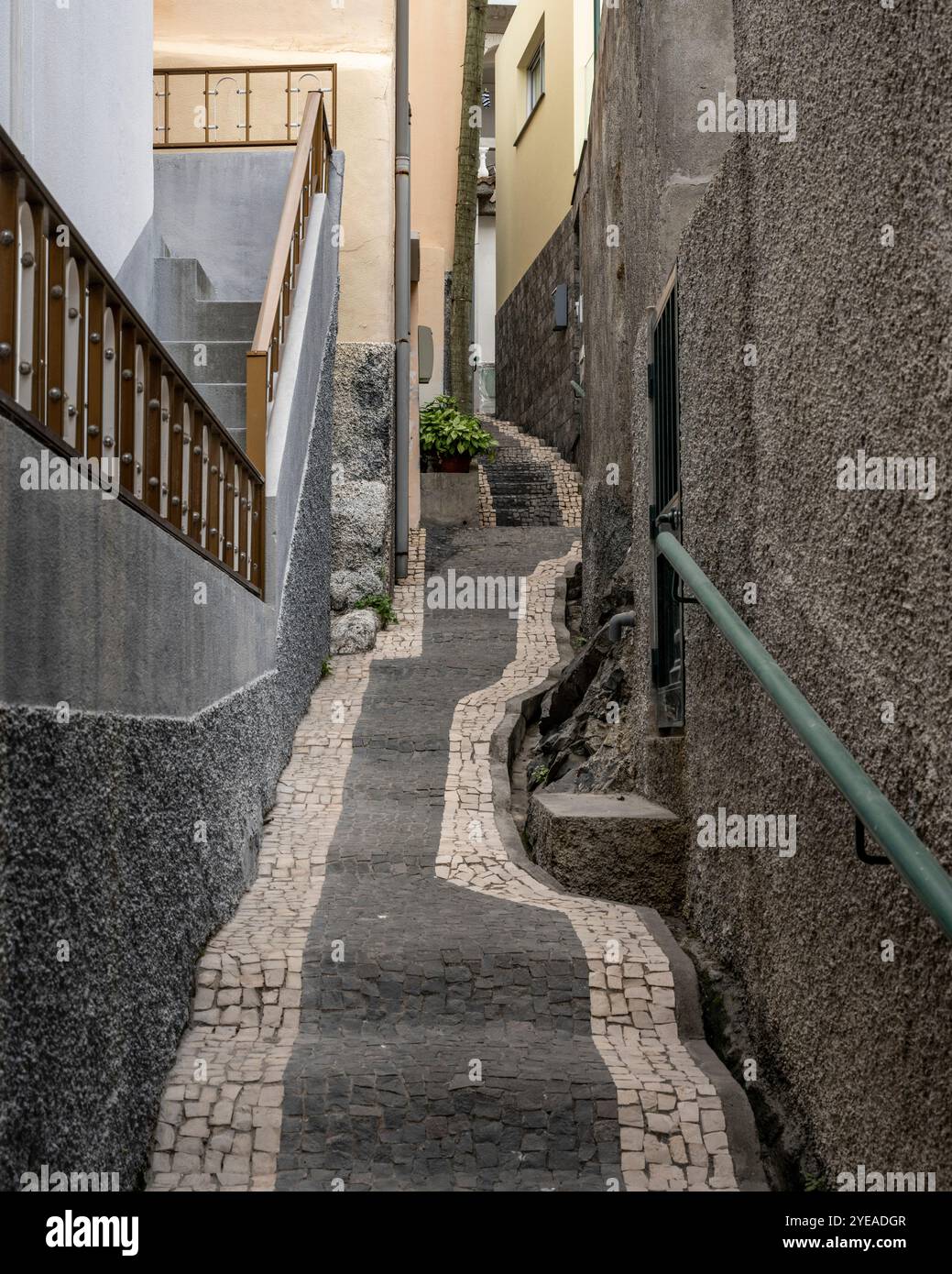 Narrow walkway with decorative paving stones between residential ...