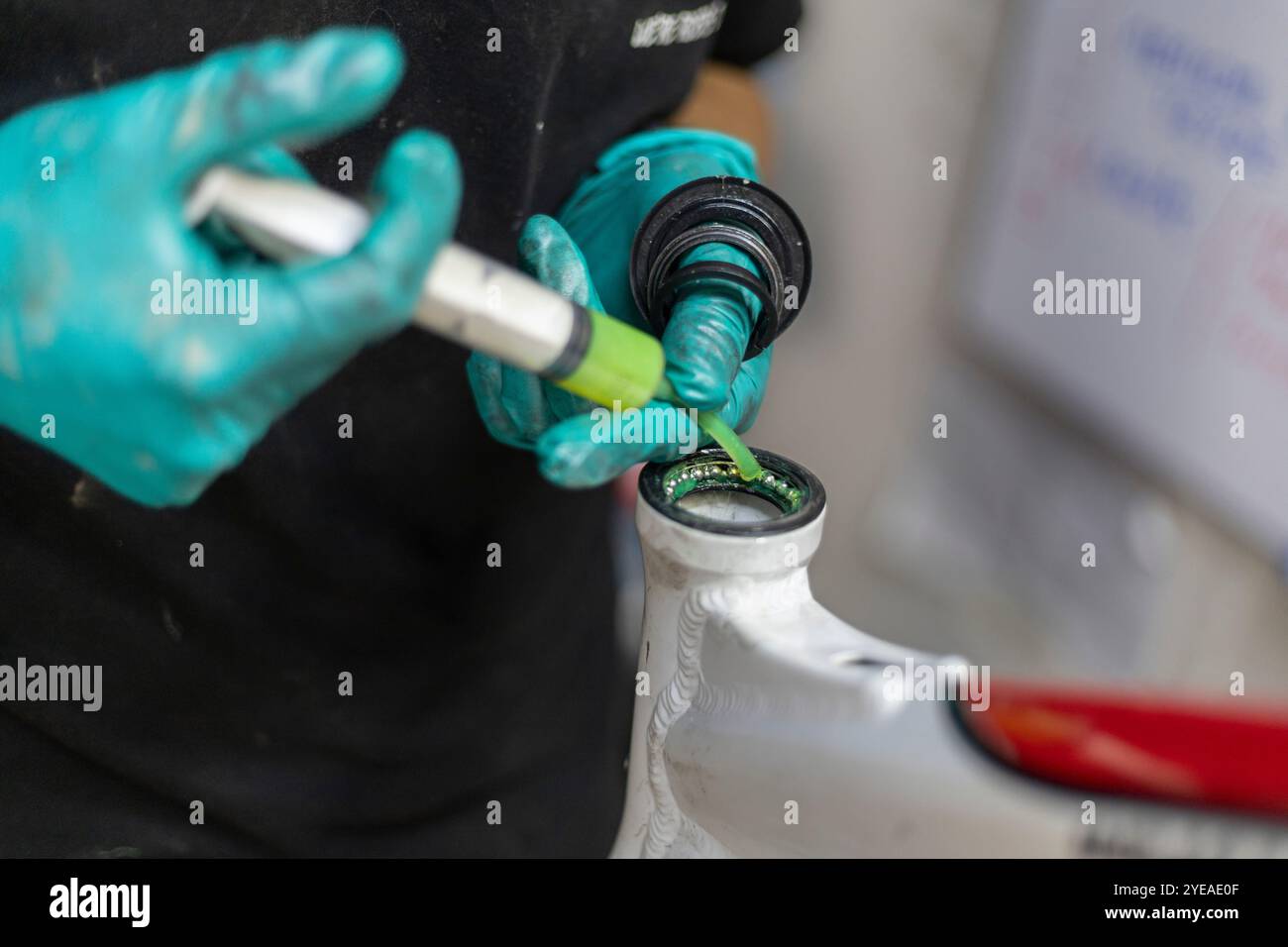 Applying grease to the steering bearings of a bicycle Stock Photo - Alamy