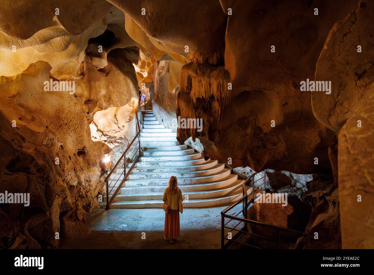 Rear view of a woman standing on a path at the bottom of steps in an ...