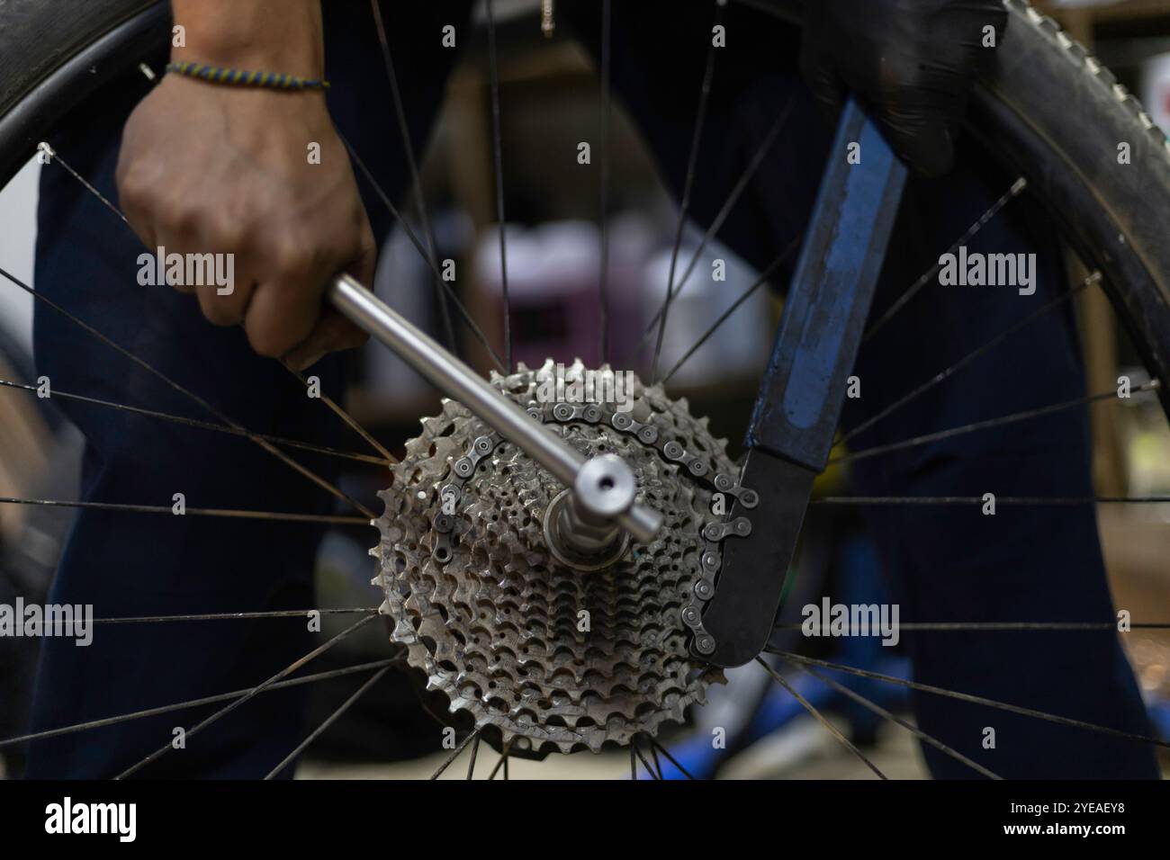 Bicycle transmission and cassette, close-up. Bicycle transmission ...