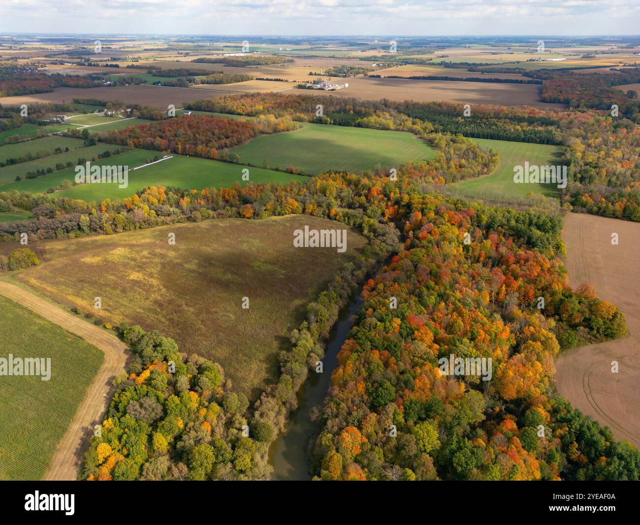 Ontario fall colours during autumn. Vibrant trees create a beautiful ...