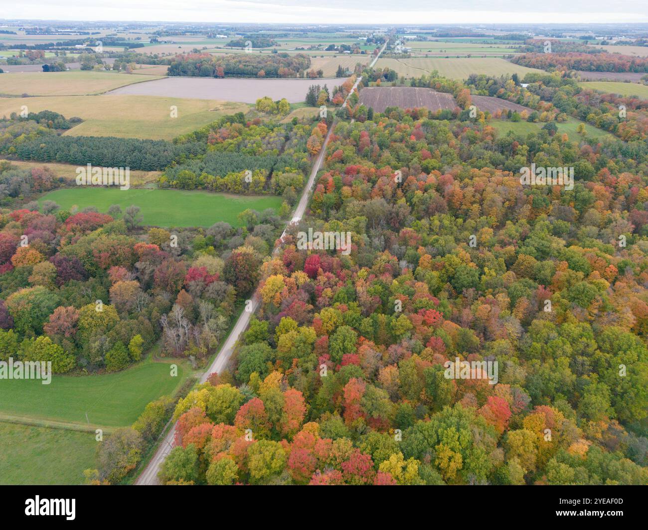 Ontario fall colours during autumn. Vibrant trees create a beautiful ...