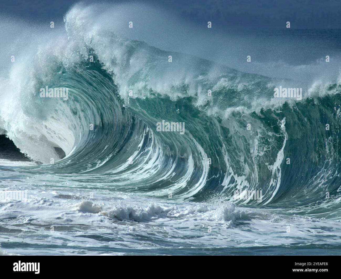 Spectacular, big breaking ocean wave curling and cresting with foamy ...
