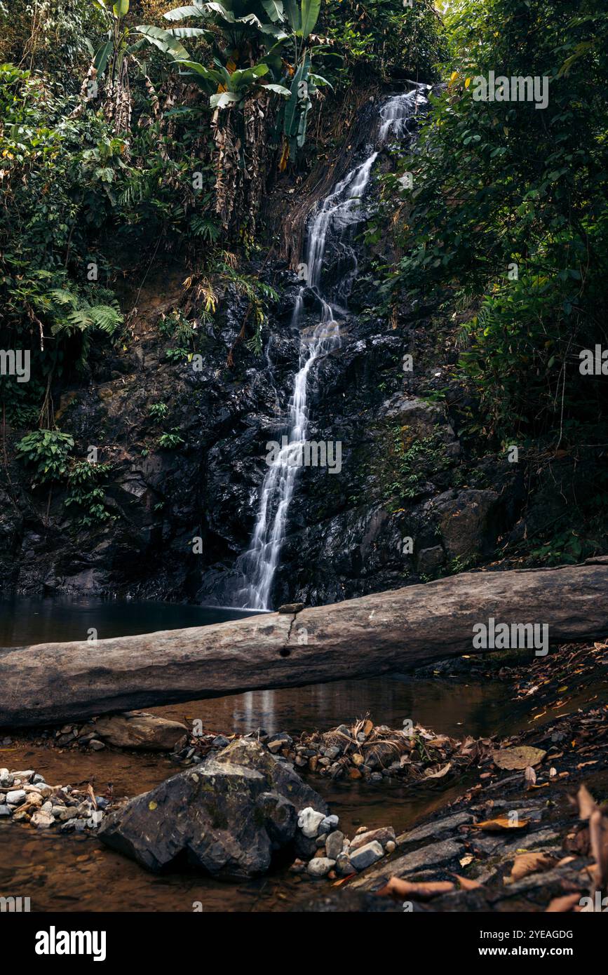 Beautiful cascading waterfall and lush foliage, Durian Perangin ...