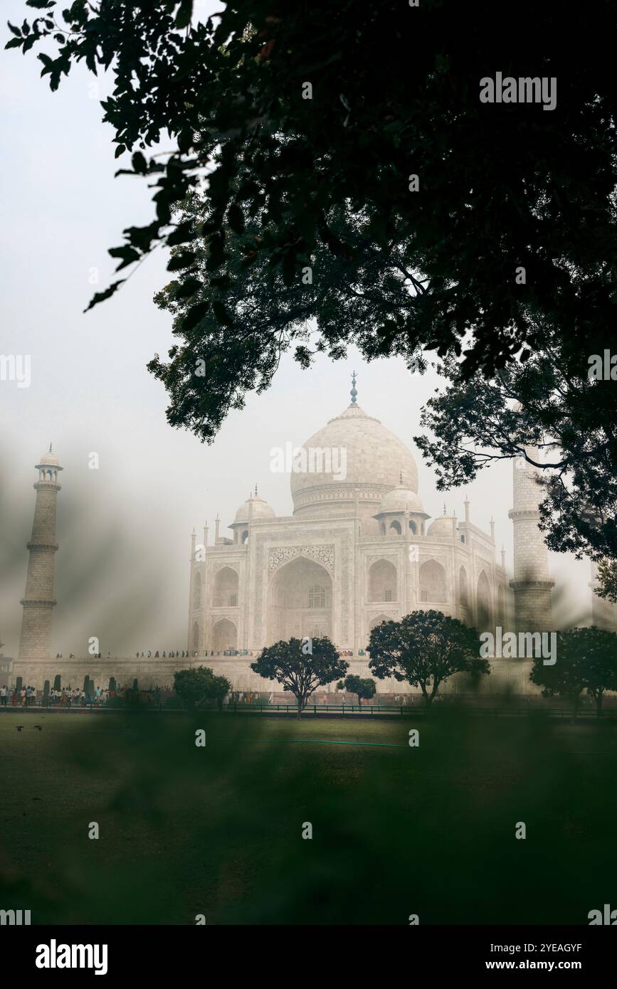 Taj Mahal and tourists enjoying the grounds, framed by tree foliage ...