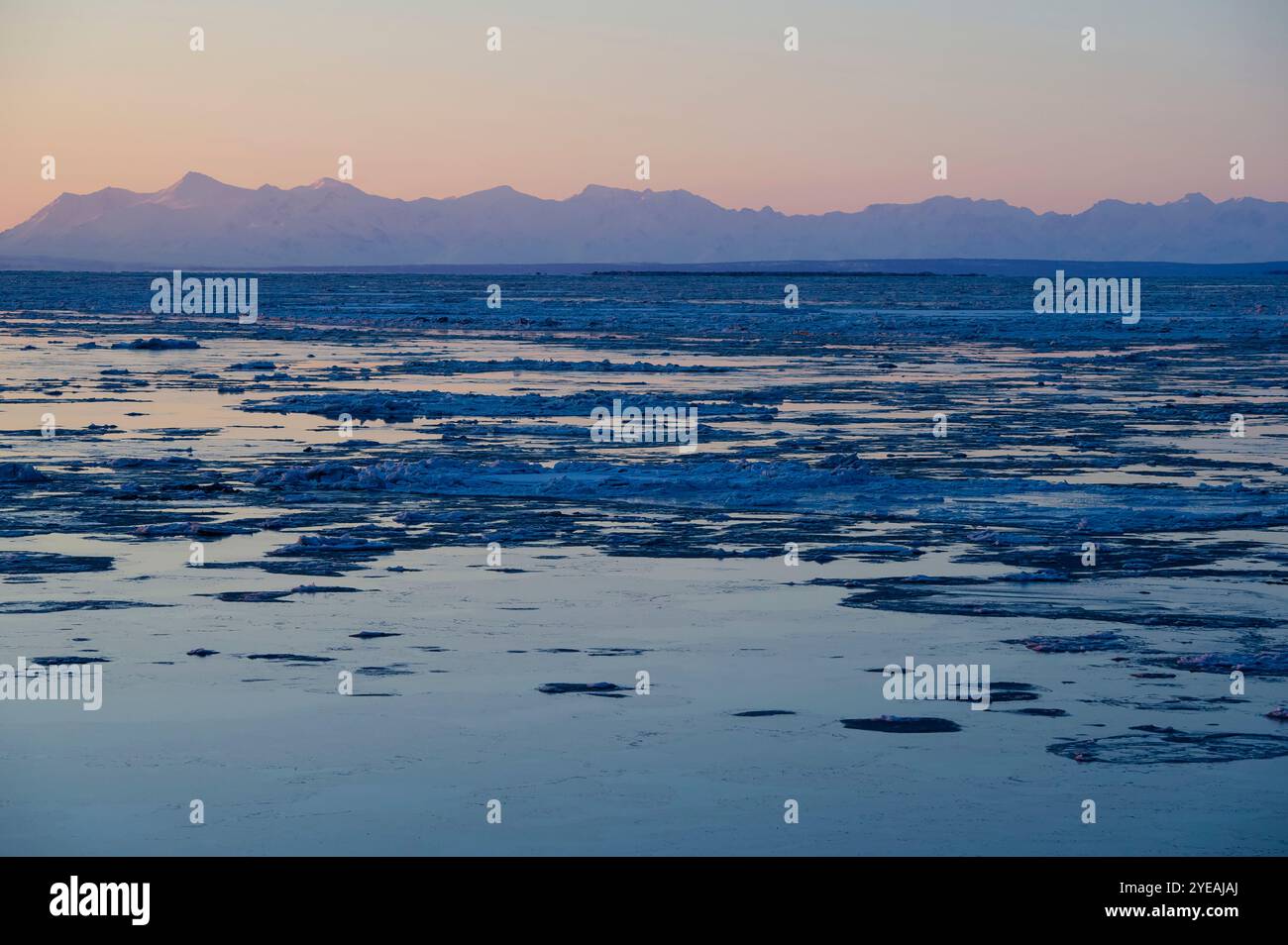 Twilight view of Turnagain Arm, west of Anchorage in winter; Haines ...