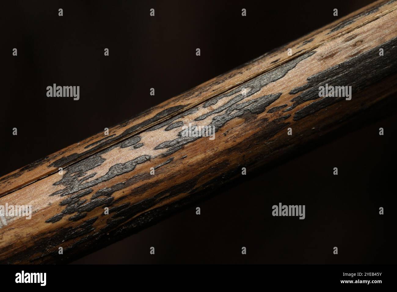 Bracken map hi-res stock photography and images - Alamy