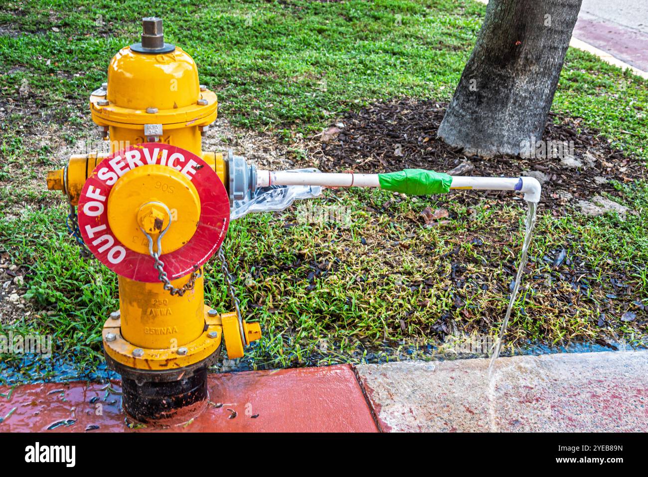 Miami Beach Florida,yellow fire hydrant,out of service sign,temporary ...