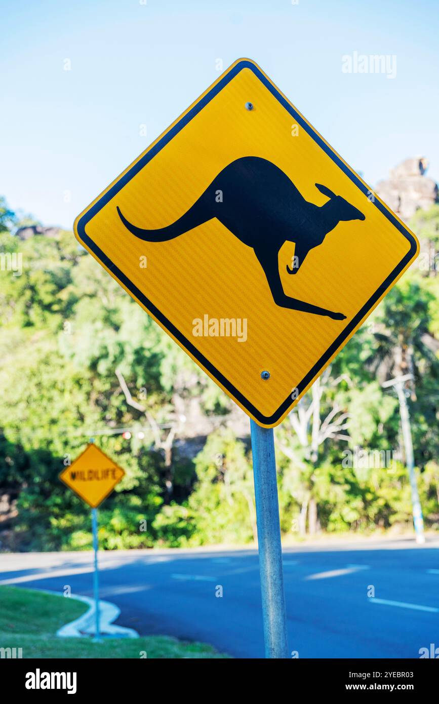 Kangaroo warning sign on road on Magnetic Island, Queensland, Australia ...