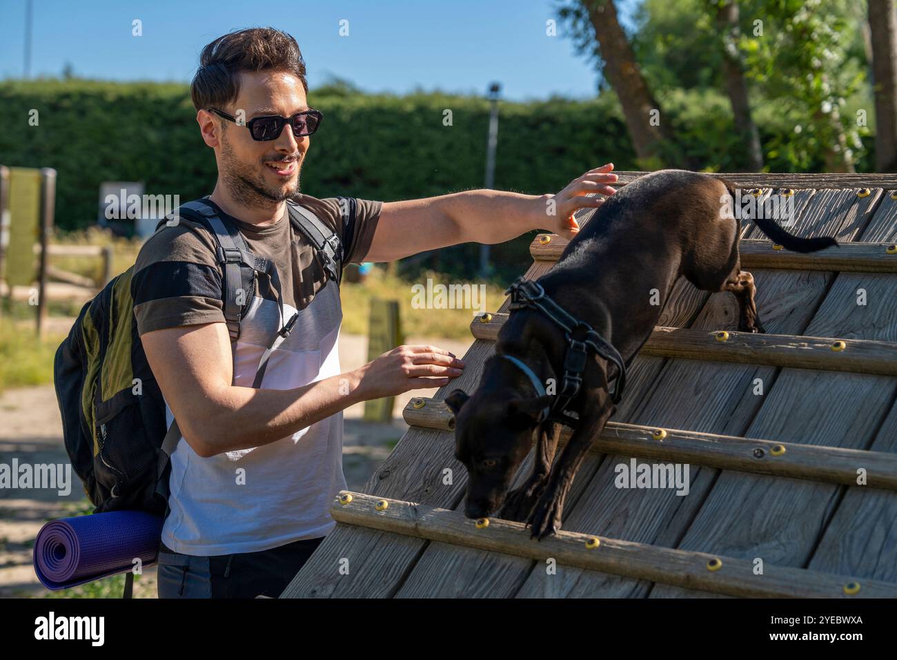 Agility dog camp hi-res stock photography and images - Alamy
