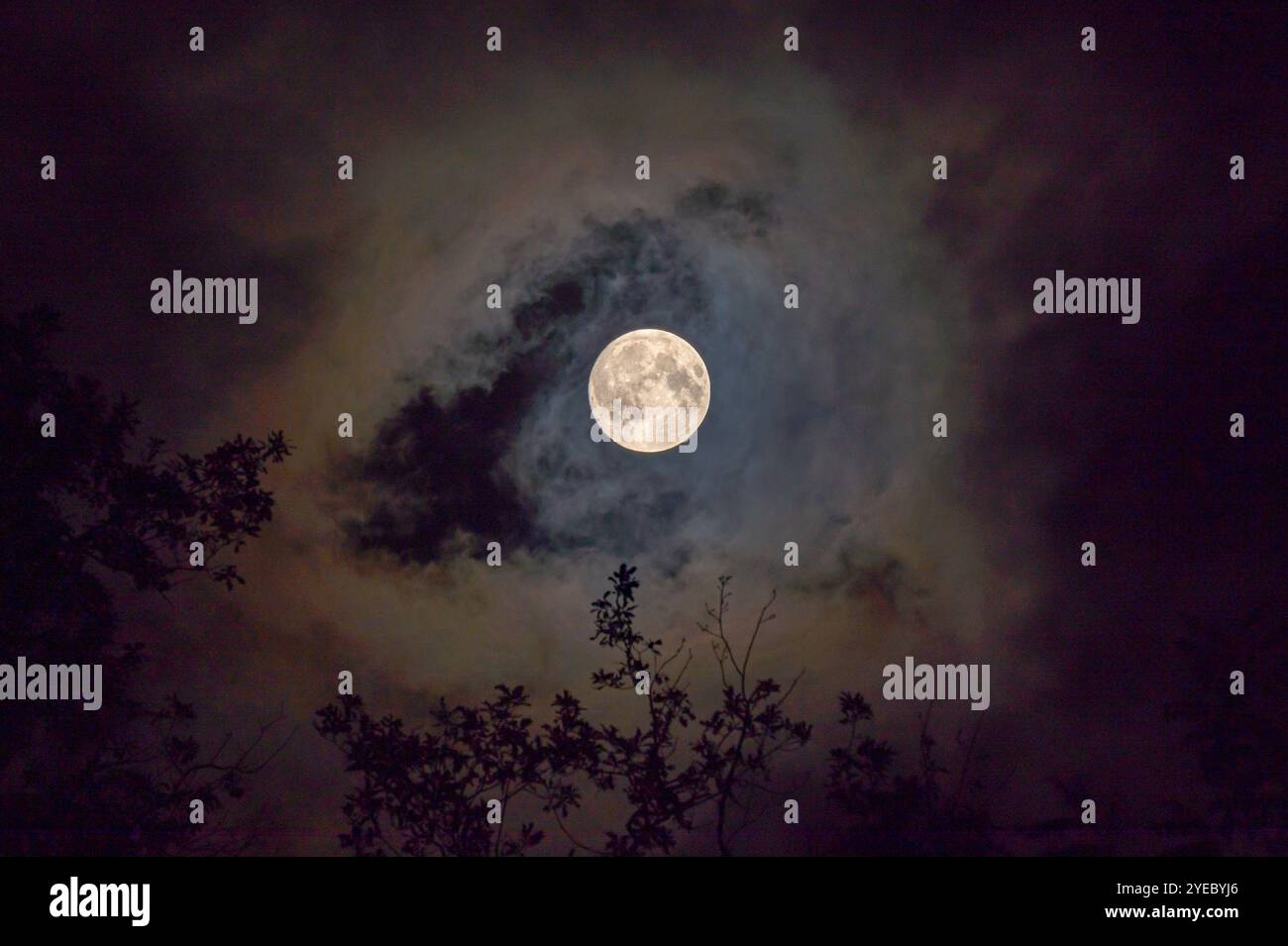 Beautiful full moon halo time hi-res stock photography and images - Alamy