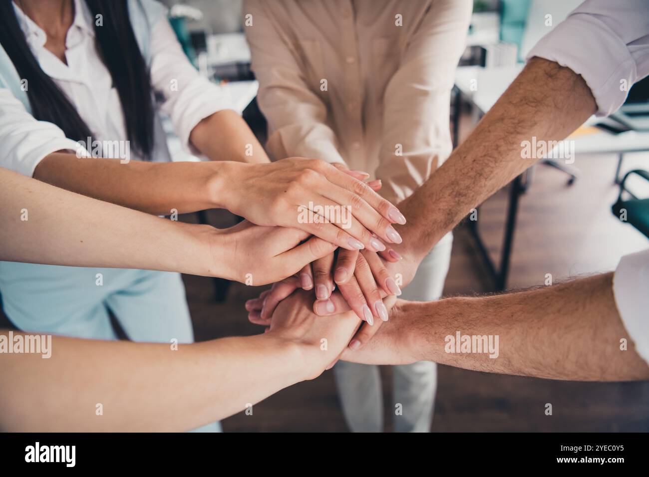 Close up cropped photo of confident cheerful successful people putting ...