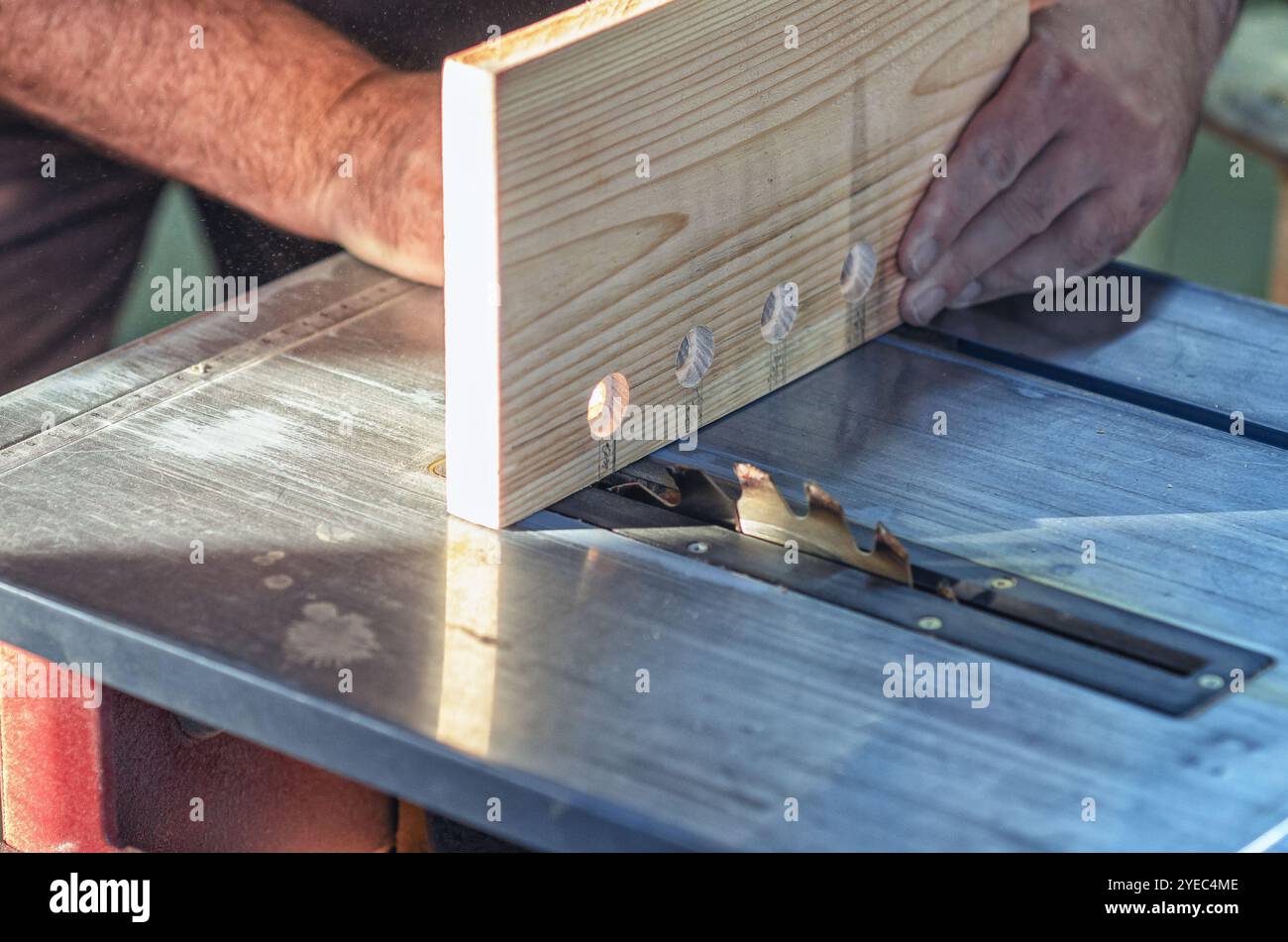 Carpenter's hand holding wooden board with round holes in carpentry ...