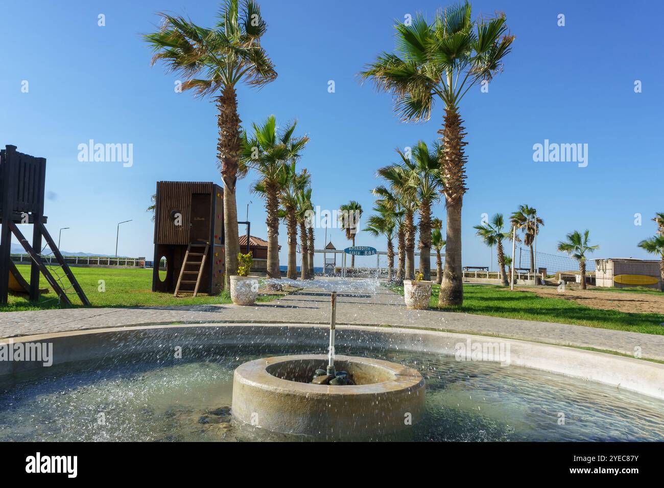 Rod palm trees sway gently by a bubbling fountain in a peaceful coastal ...