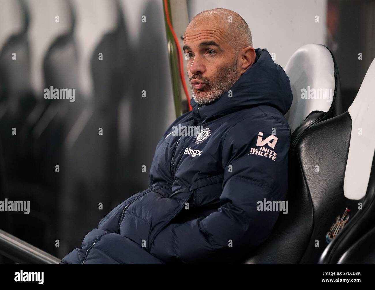 Chelsea newcastle 2024 hi-res stock photography and images - Alamy