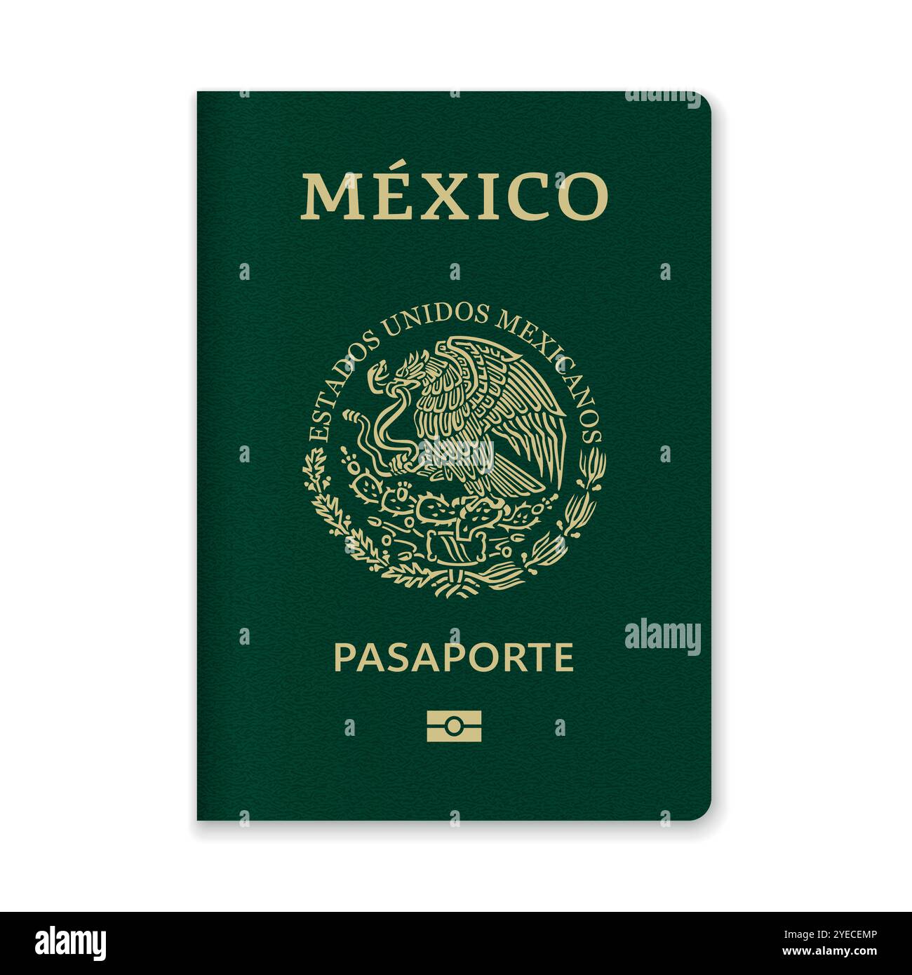 Close-up of a Mexico passport cover featuring gold text and emblem on ...