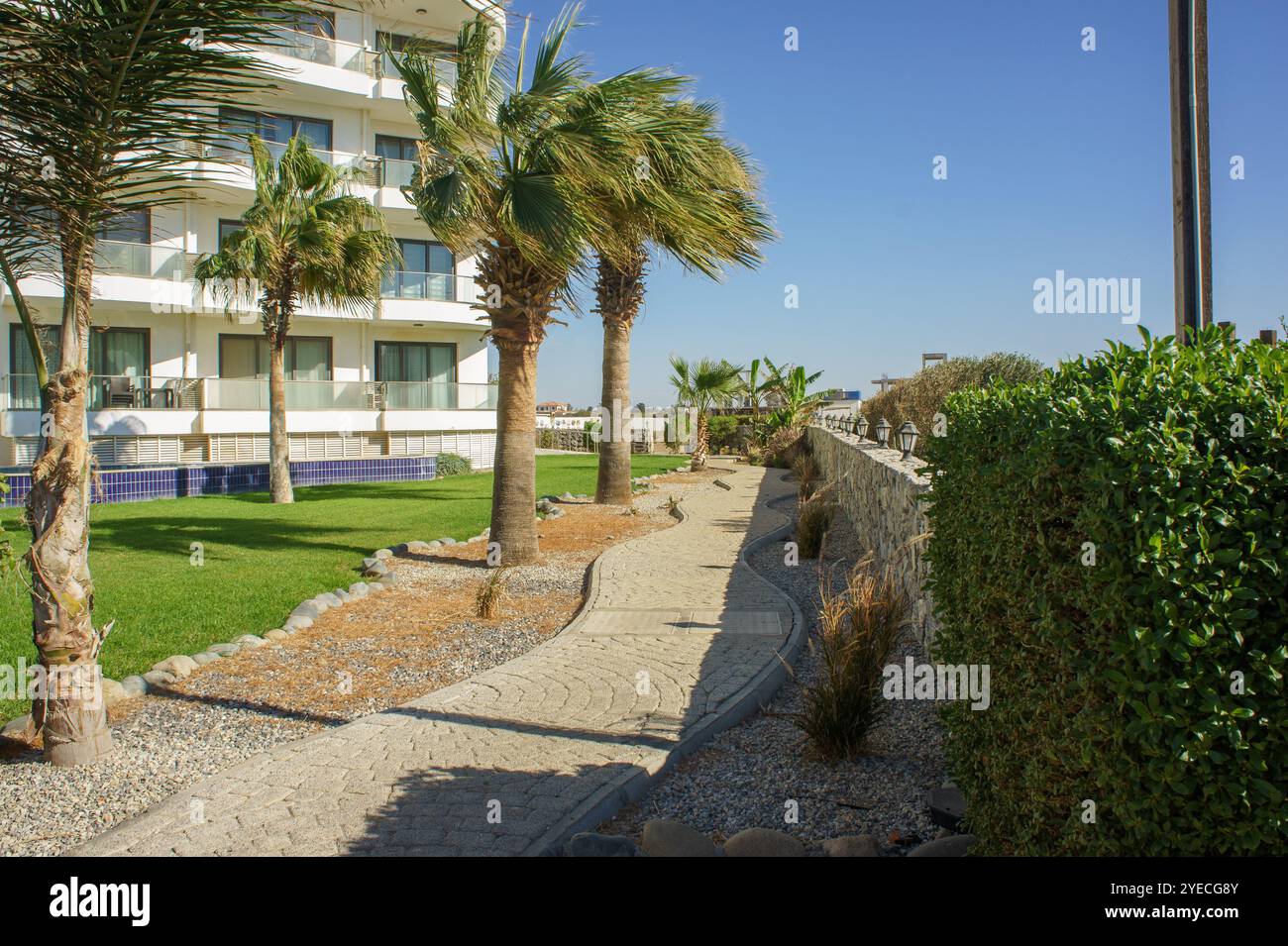 Enjoy a tranquil walk near the ocean, surrounded by lush palm trees and ...