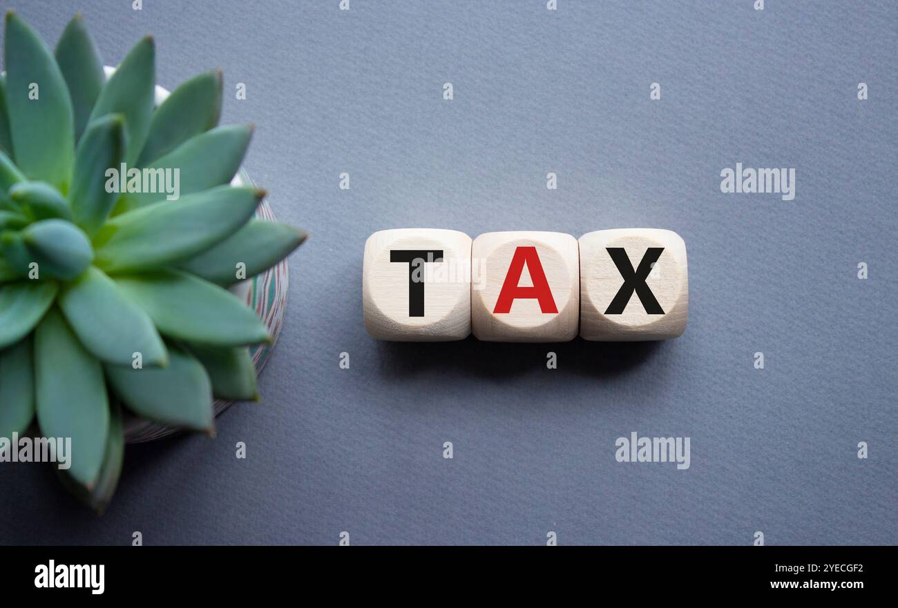 Tax symbol. Wooden cubes with word Tax. Beautiful grey background with ...