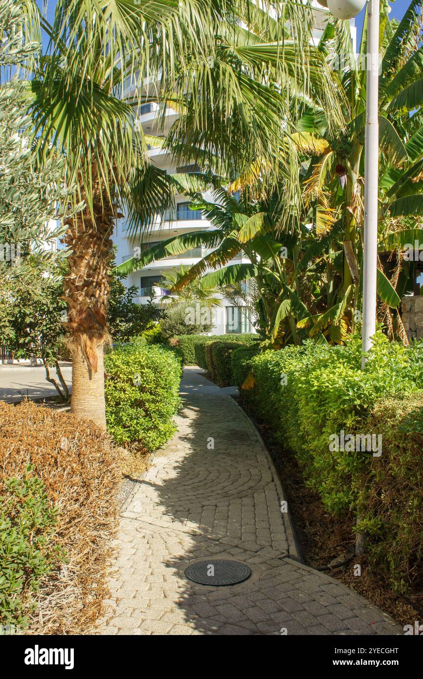 Strolling along a beautifully paved pathway within lush greenery ...