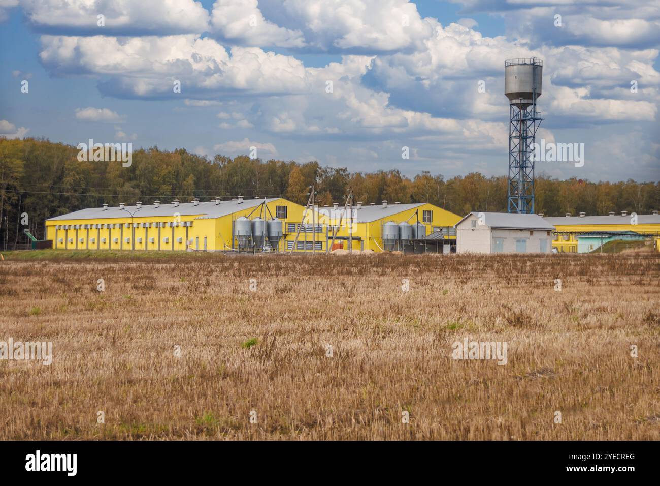 agro-processing plant for processing and silos for drying cleaning and ...