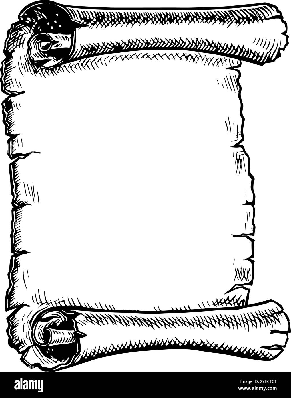 Antique paper scroll. Vector black and white graphics. Hand-drawn ...