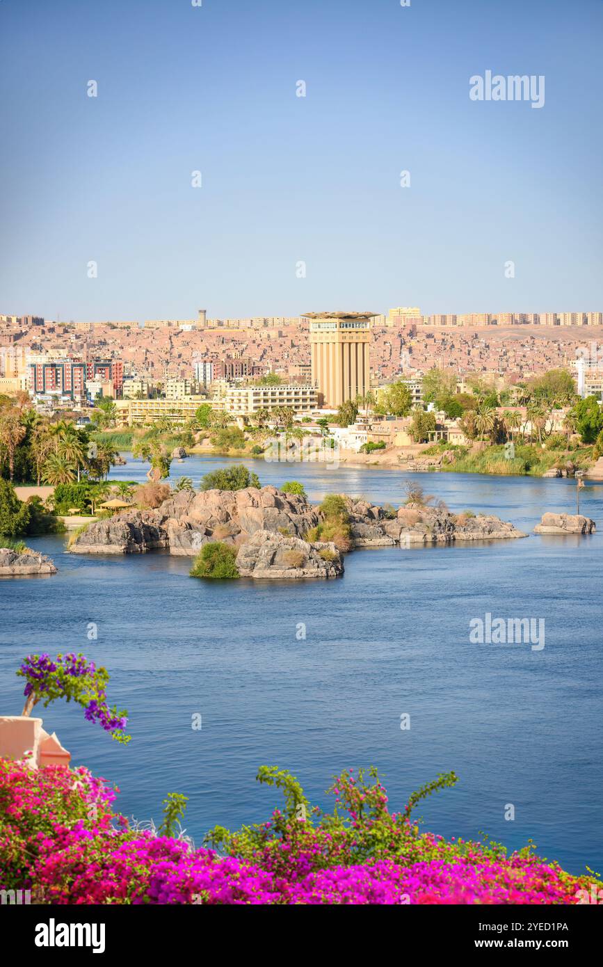 Egypt flowers hi-res stock photography and images - Alamy