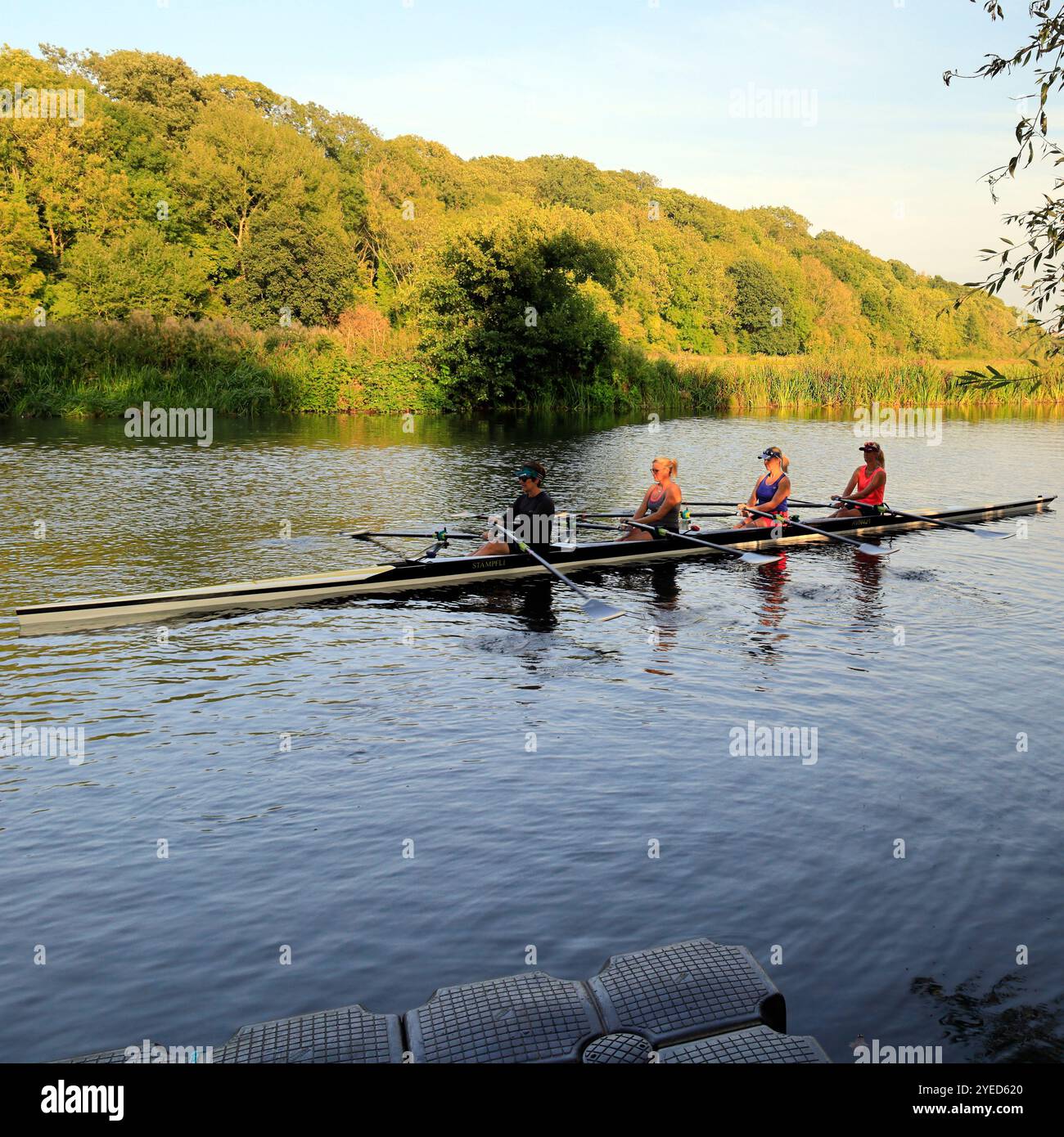 Rowing on the River Avon at Saltford, England, UK. 2024 Stock Photo - Alamy