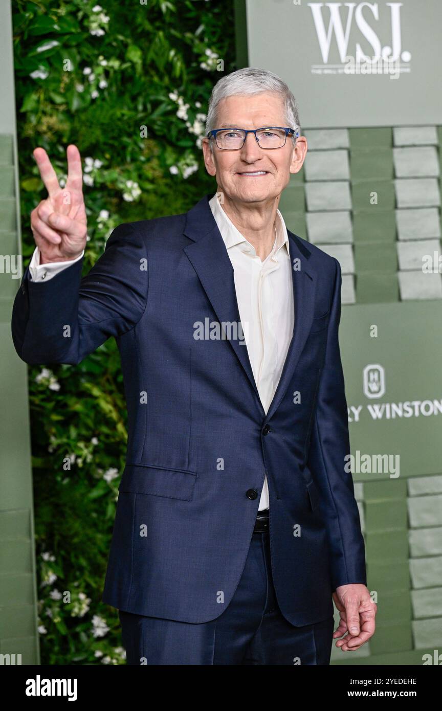 Tim Cook attends the WSJ. Magazine Innovators Awards at the Museum of ...