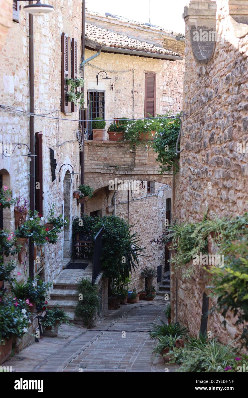 View along a narrow back street in an old town Stock Photo - Alamy
