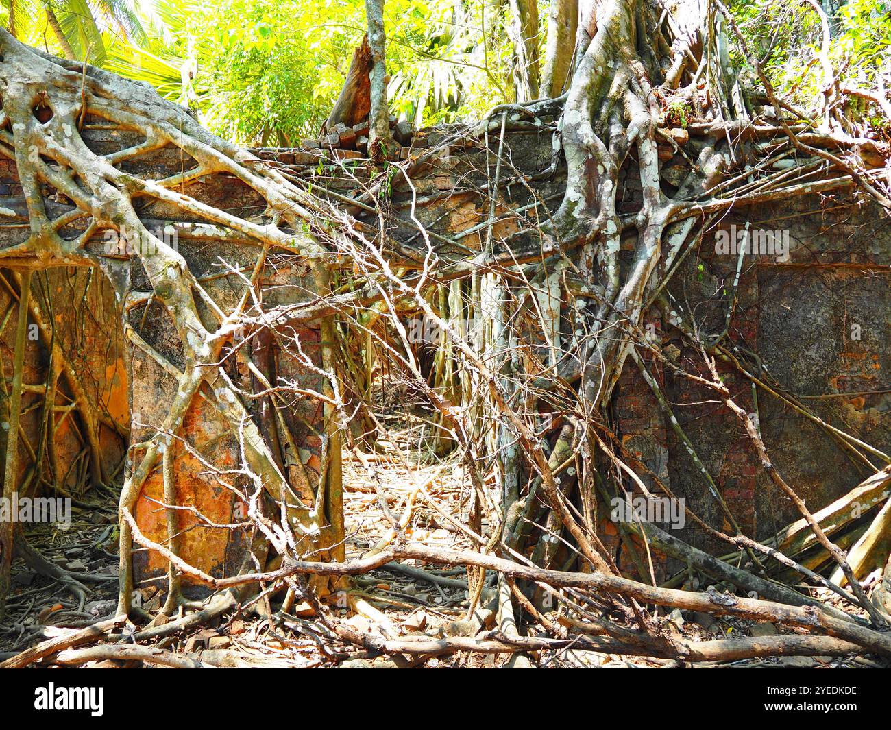 Port Blair, Andaman and Nicobar Islands, Andaman Sea, India Stock Photo ...