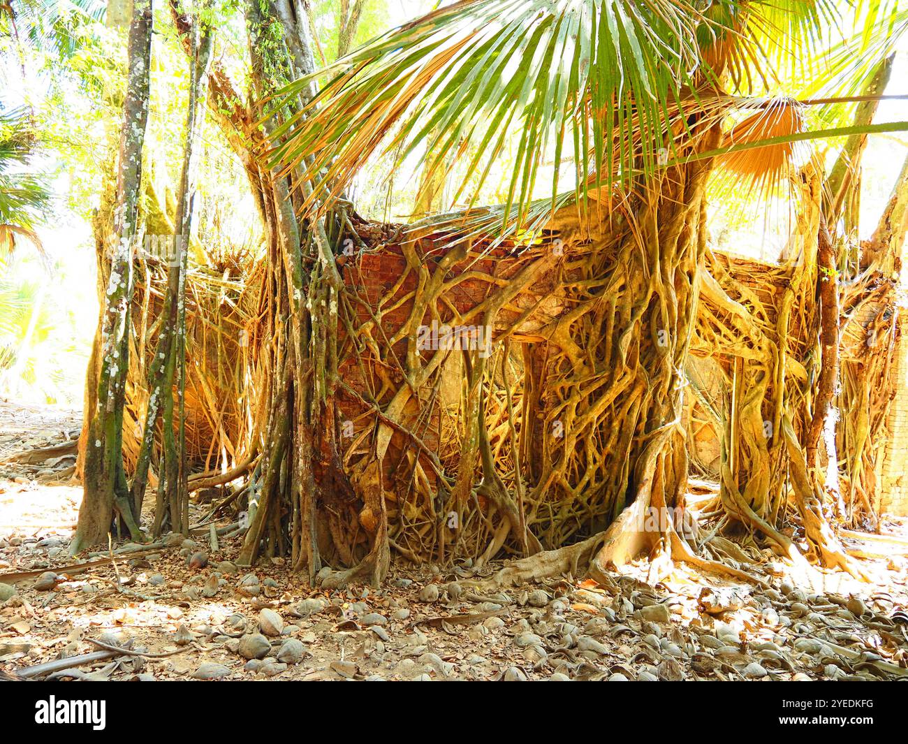 Port Blair, Andaman and Nicobar Islands, Andaman Sea, India Stock Photo ...