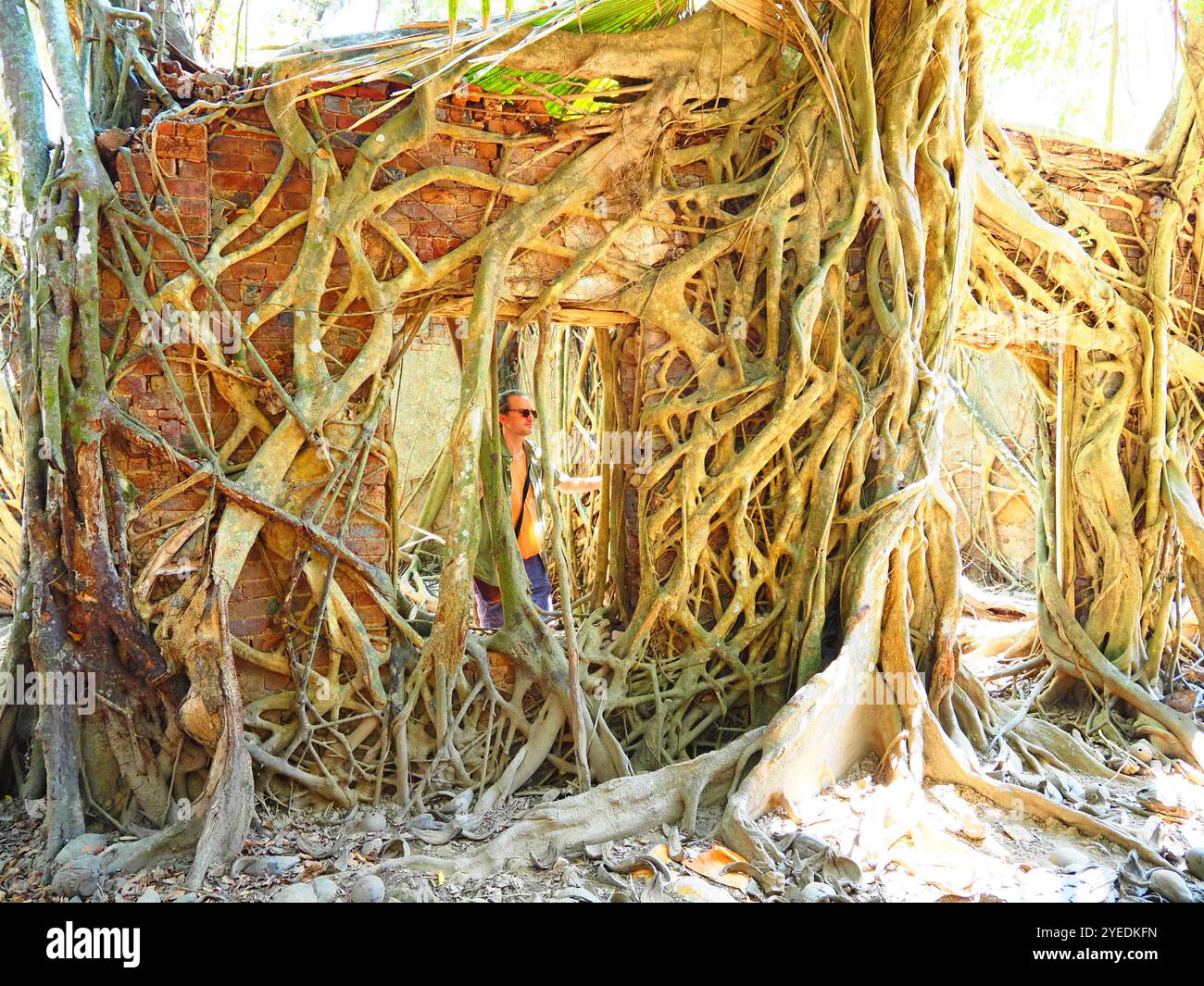 Port Blair, Andaman and Nicobar Islands, Andaman Sea, India Stock Photo ...